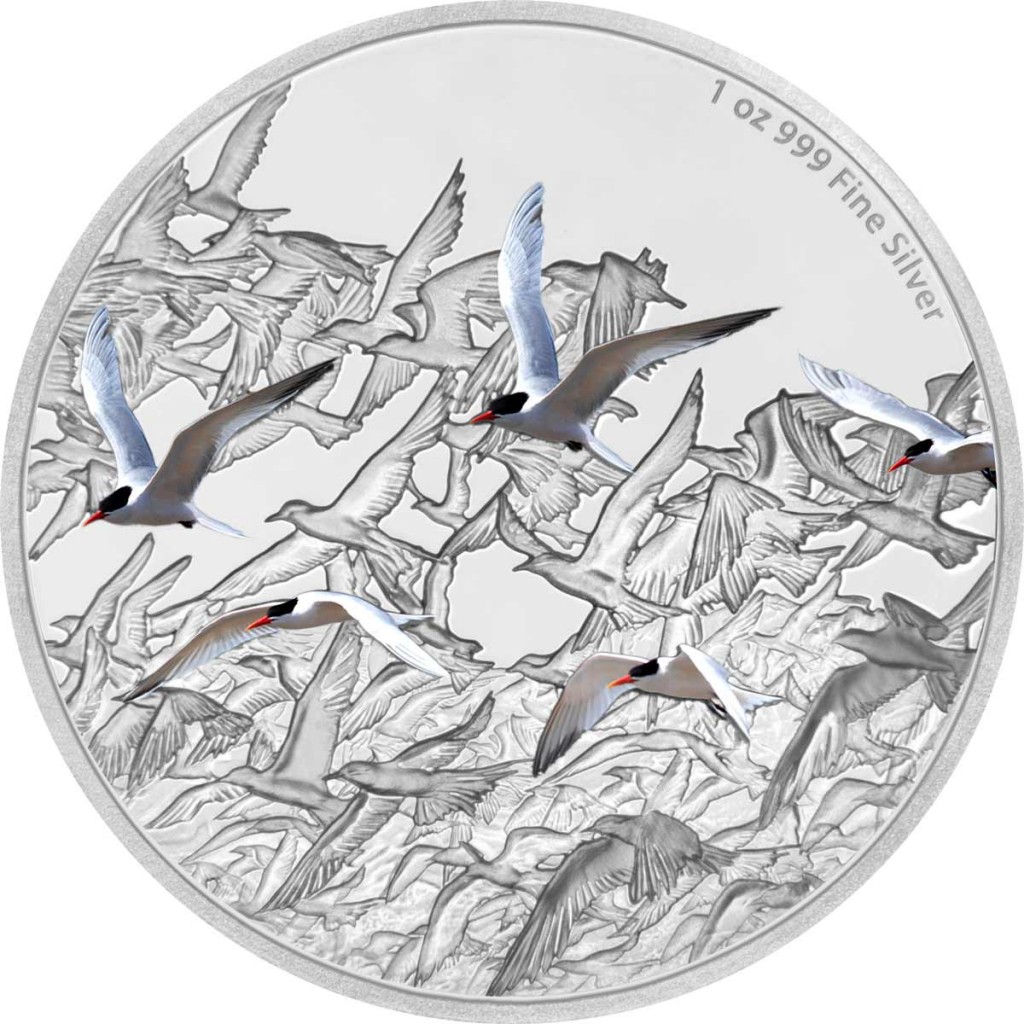 2017-nzm-arctic-tern-migration-rev - AgAuNEWS