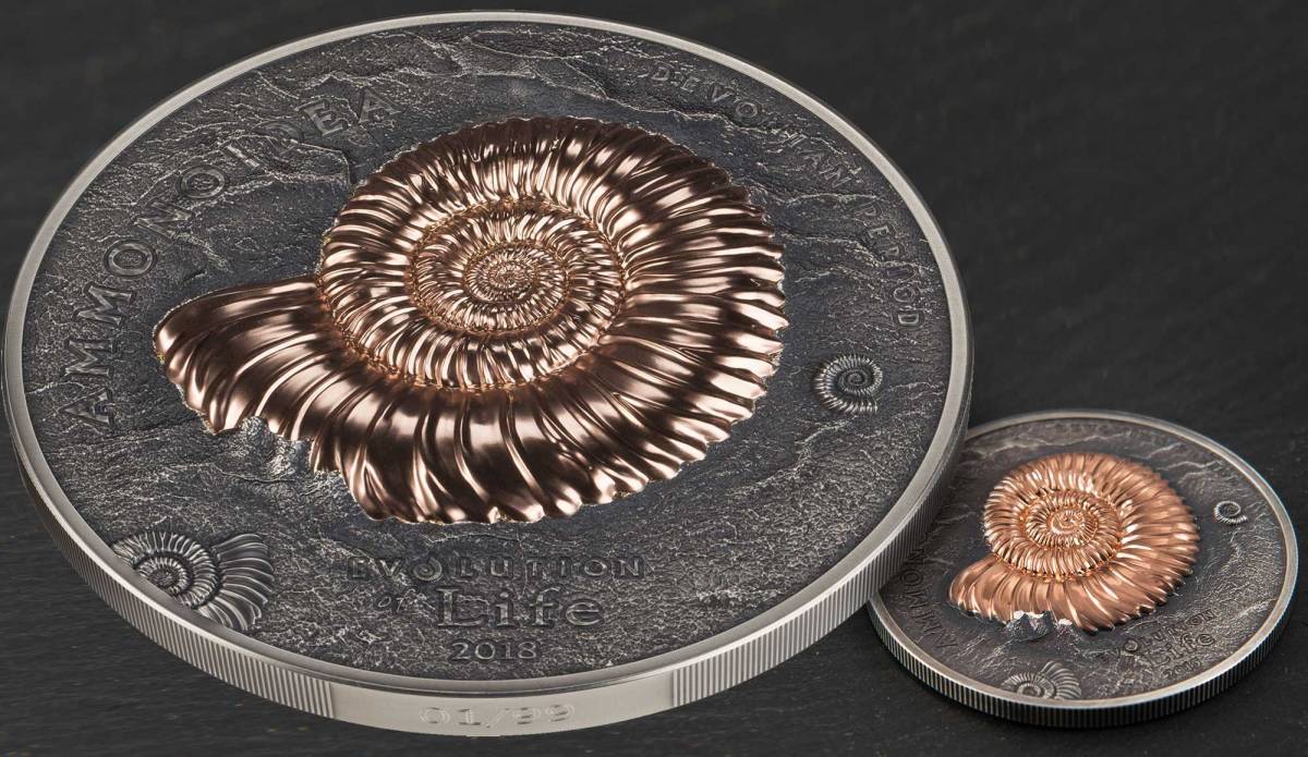 Ammonites came in different sizes, so why not ammonite coins? Evolution ...