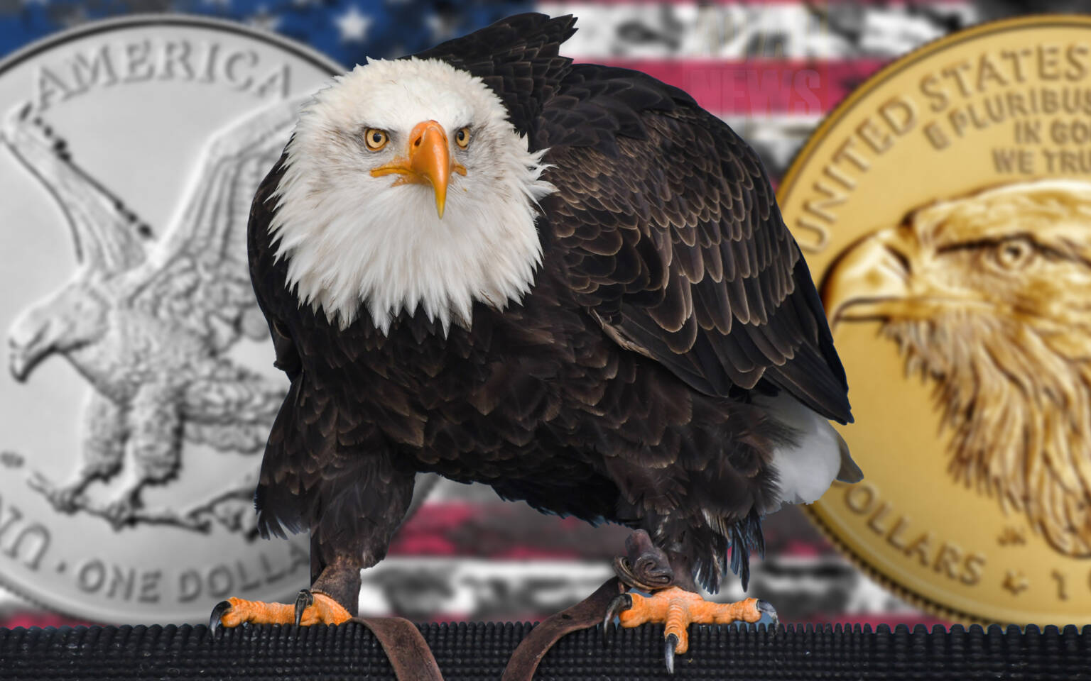2021-USM-American-Eagle-T2-FEAT - AgAuNEWS