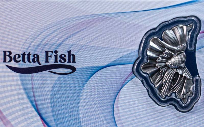 An elegant Siamese Fighting Fish silver piece, and a detailed stackable ...