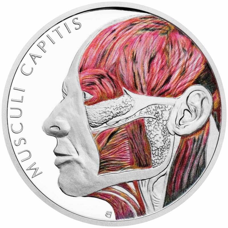 Human Body 01: Head Muscles 1oz silver coin (2025 Czech Mint) - AgAuNEWS